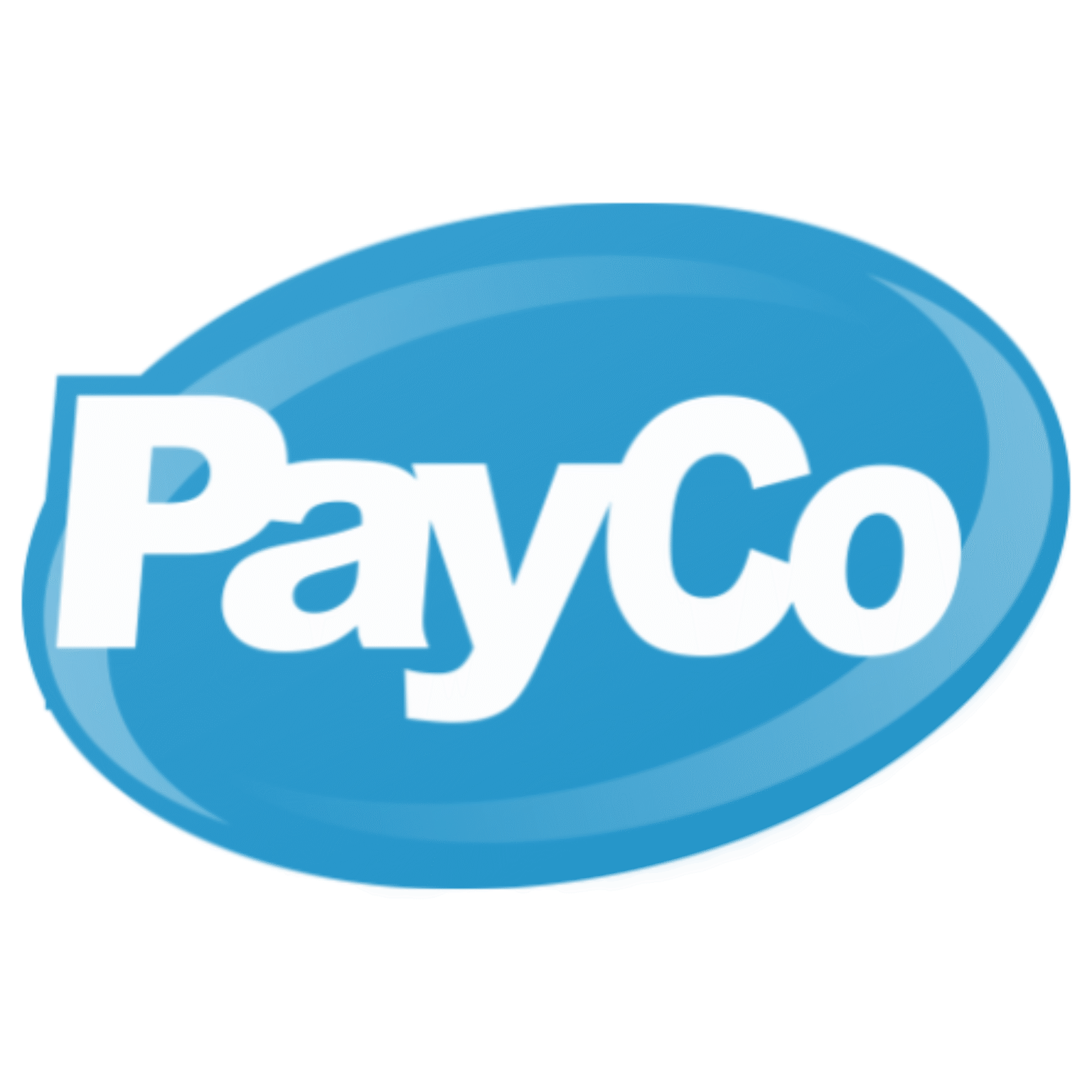 PayCo - אודות, מחירים, ביקורות 2026 - נטולינק Netolink
